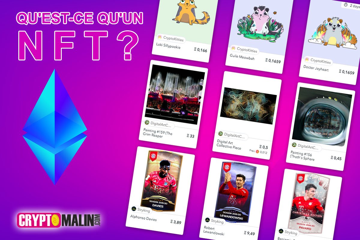 Qu'est-ce qu'un NFT ? - CryptoMalin.com Qu'est-ce qu'un NFT ? - CryptoMalin.com